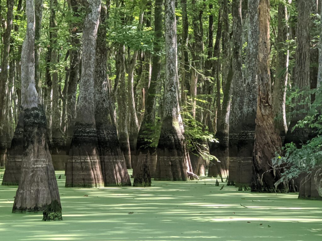 Art of Micro Fishing - Ultimate Micro Fishing Tackle Store. - The Art ...