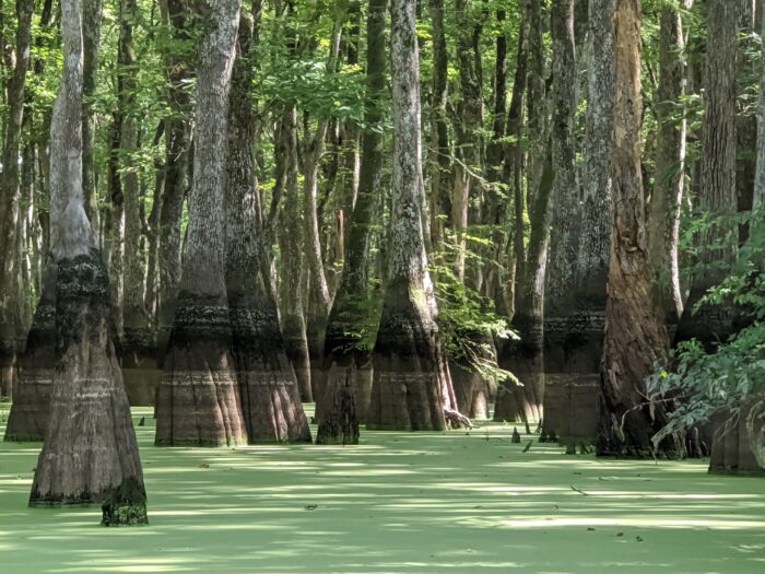 Art of Micro Fishing - Ultimate Micro Fishing Tackle Store. - The Art ...